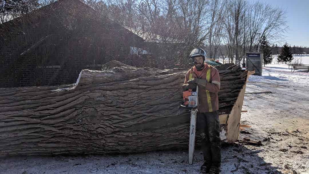 Tree Removal Services Peterborough - Armour Hill Tree Care